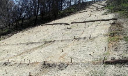 Rehabilitation Plans - Sharples Environmental Services